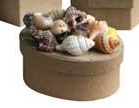 Planetpals Craft Page: Make recycle shell craft project with the kids ...